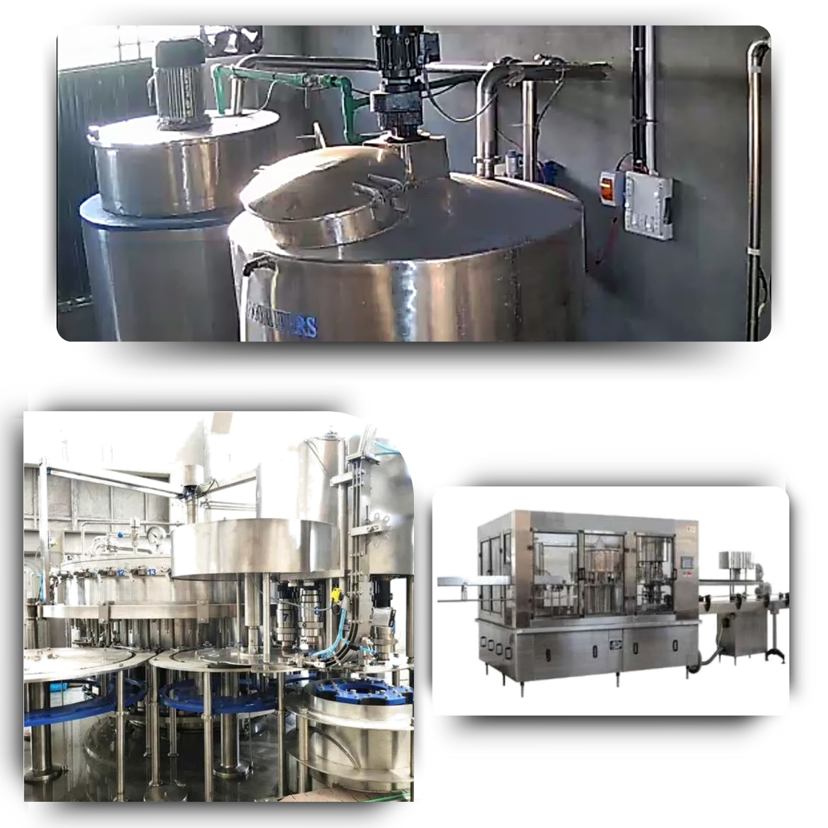 Meet the Royals – Royal Beverges